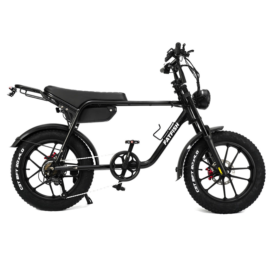 Fatfish Fat Tyre E-Bike – Fatfish E-Bikes