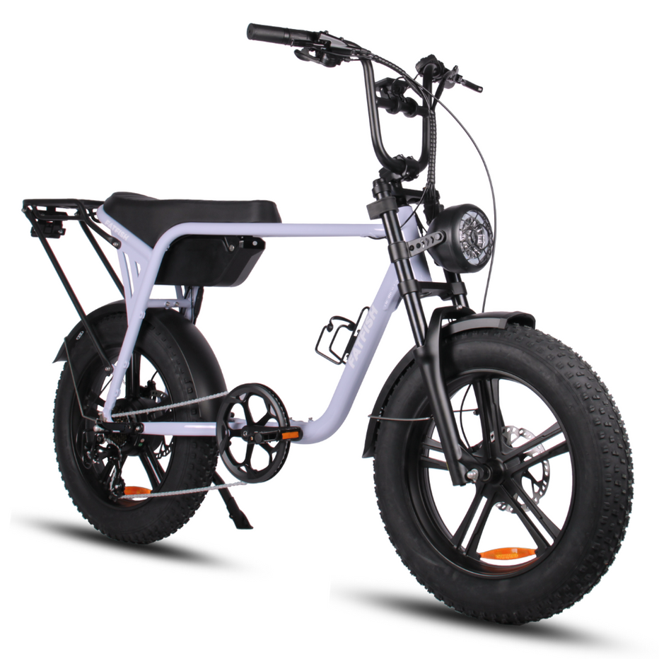 Fatfish Biggie 20AH Fat Tyre E-Bike – Fatfish E-Bikes