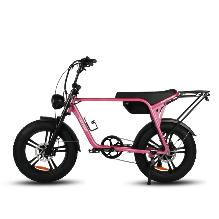 Fatfish Biggie 20AH Fat Tyre E-Bike – Fatfish E-Bikes