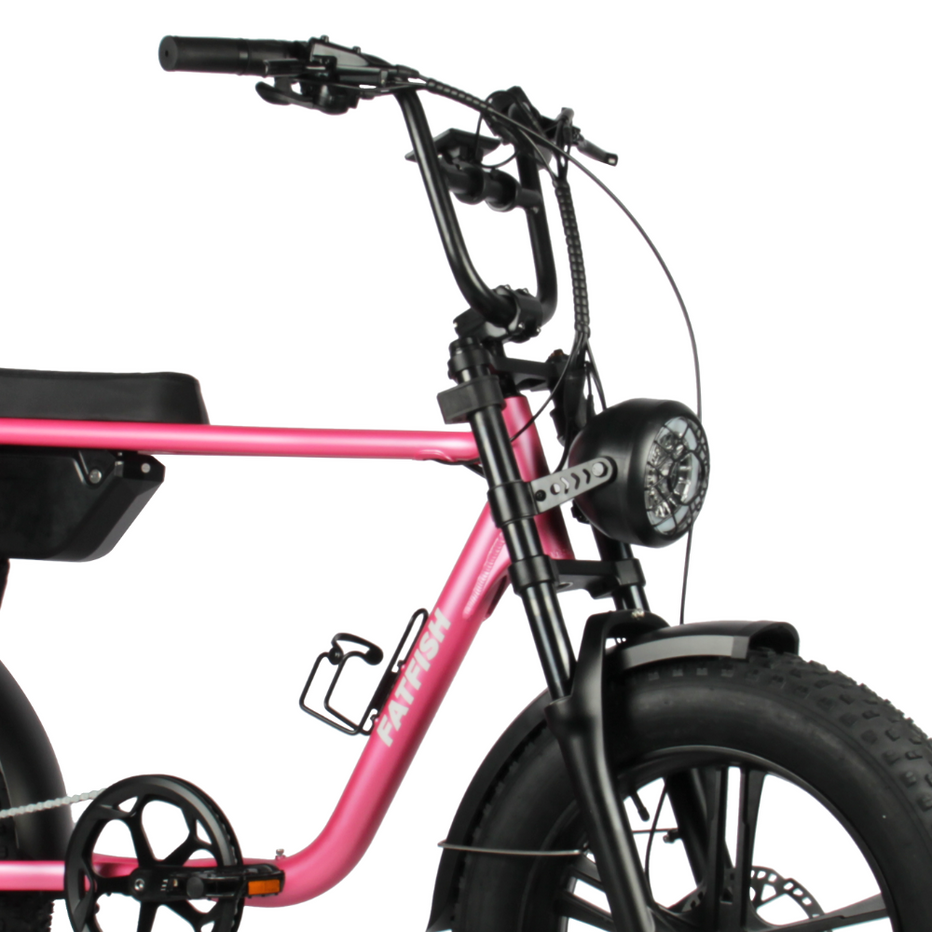 Fatfish Biggie 20AH Fat Tyre E-Bike – Fatfish E-Bikes