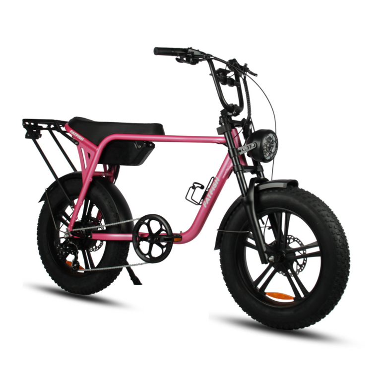 Fatfish Biggie 20AH Fat Tyre E-Bike – Fatfish E-Bikes