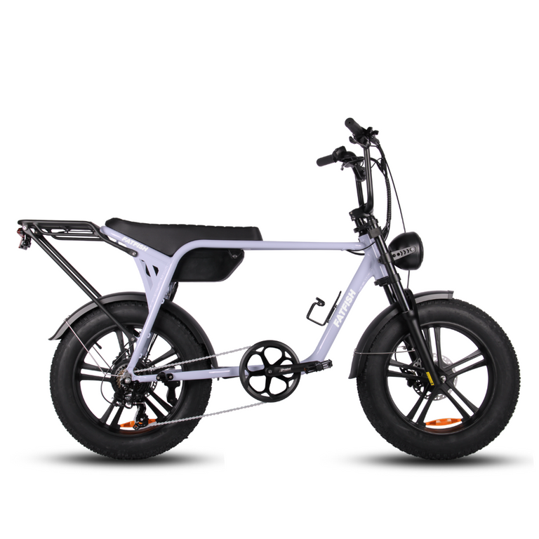 Fatfish Biggie 20AH Fat Tyre E-Bike – Fatfish E-Bikes