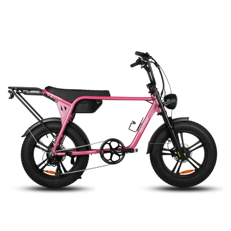 Fatfish Biggie 20AH Fat Tyre E-Bike – Fatfish E-Bikes