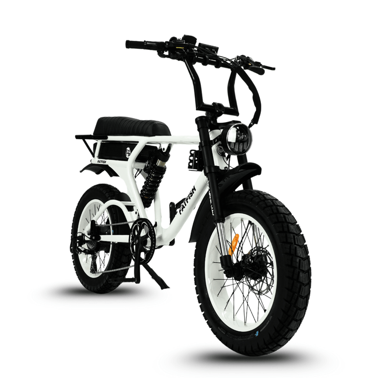 Fatfish DS Fat Tyre E-Bike – Fatfish E-Bikes