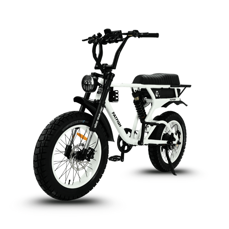 Fatfish DS Fat Tyre E-Bike – Fatfish E-Bikes