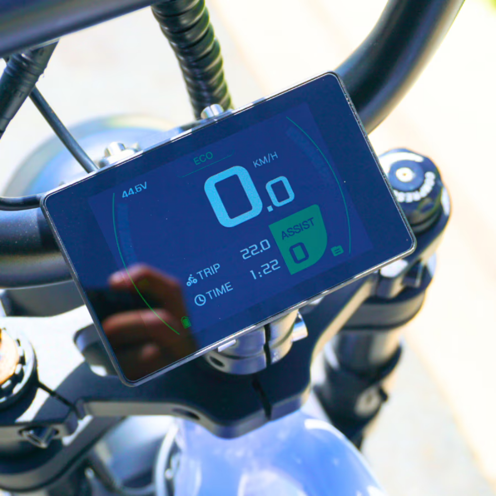 Fatfish Biggie Display Screen – Fatfish E-Bikes
