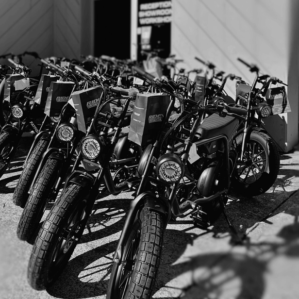 Customize Your Fatfish – Fatfish E-Bikes