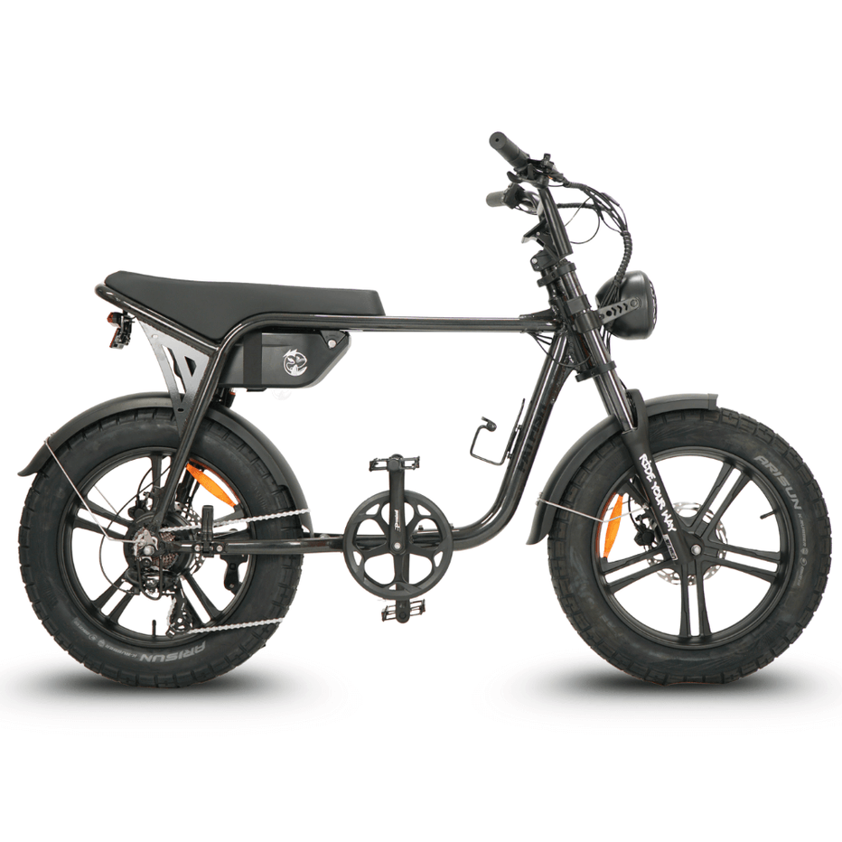 Fatfish OG 2.0 Fat Tyre E-Bike – Fatfish E-Bikes
