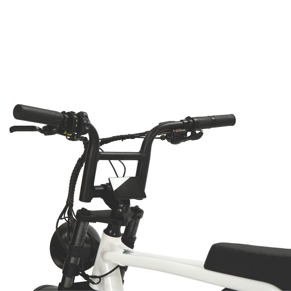 Fatfish OG 2.0 Fat Tyre E-Bike – Fatfish E-Bikes