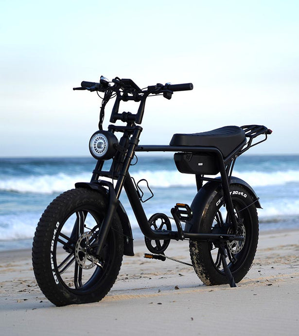 Fatfish - Fat Tyre E-bikes – Fatfish E-Bikes