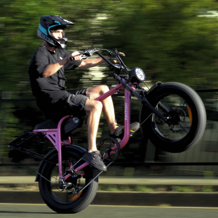 Fatfish Biggie 20AH Fat Tyre E-Bike – Fatfish E-Bikes